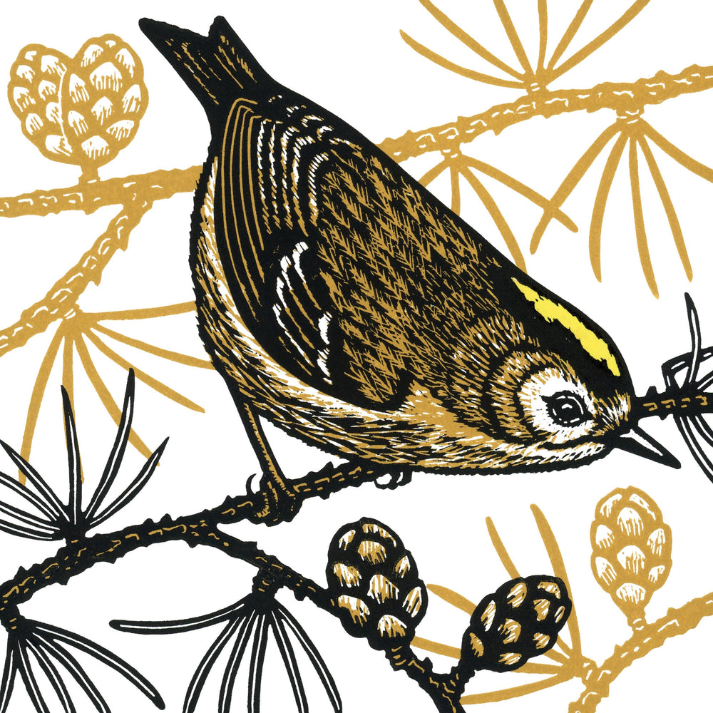 Sarah Delahoy Printmaker